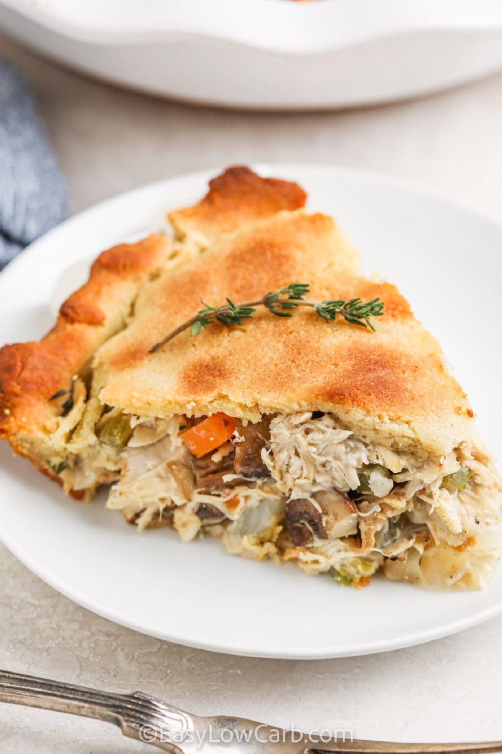 60+ Keto Main Dishes {Easy Meals!} - Easy Low Carb