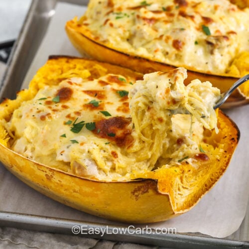 Spaghetti Squash Chicken Alfredo